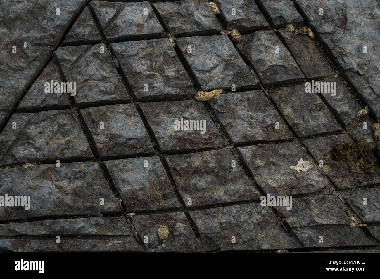 A triangle pattern carved into shale stone along the shore of the ...