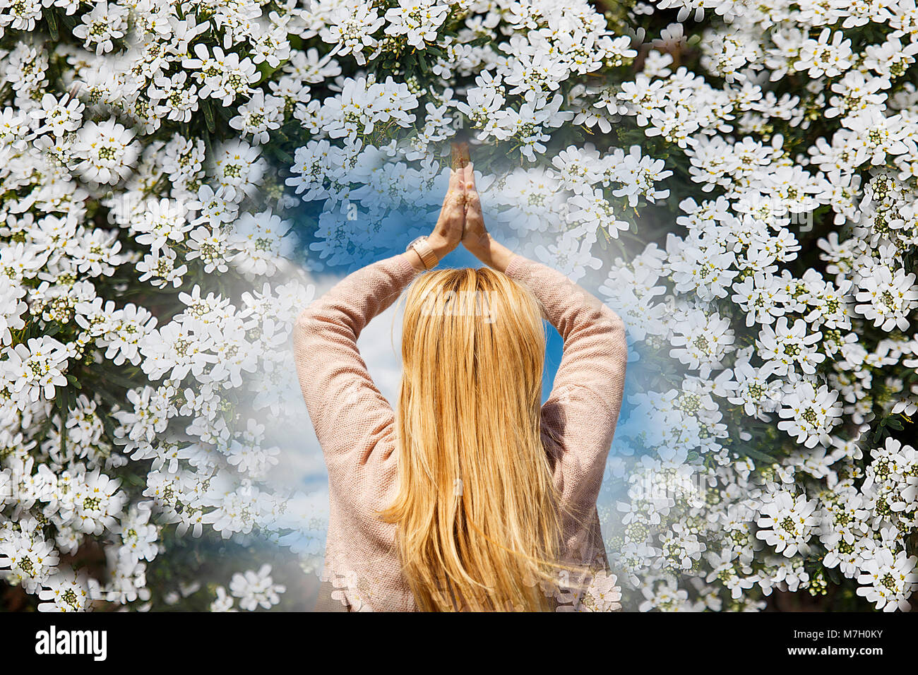 yoga among white flowers Stock Photo - Alamy
