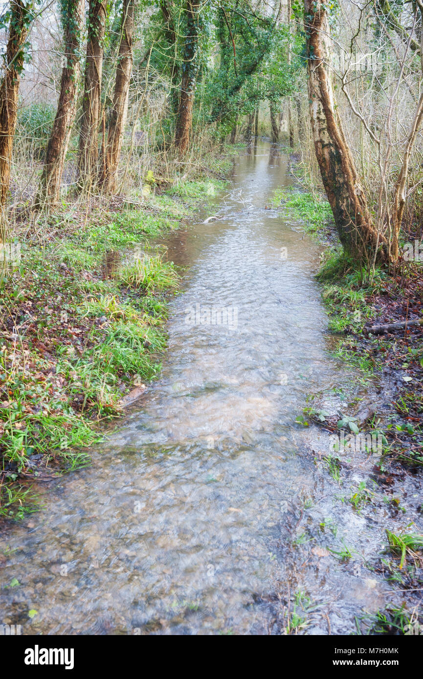 Flooded landscape, South Wales Stock Photo - Alamy