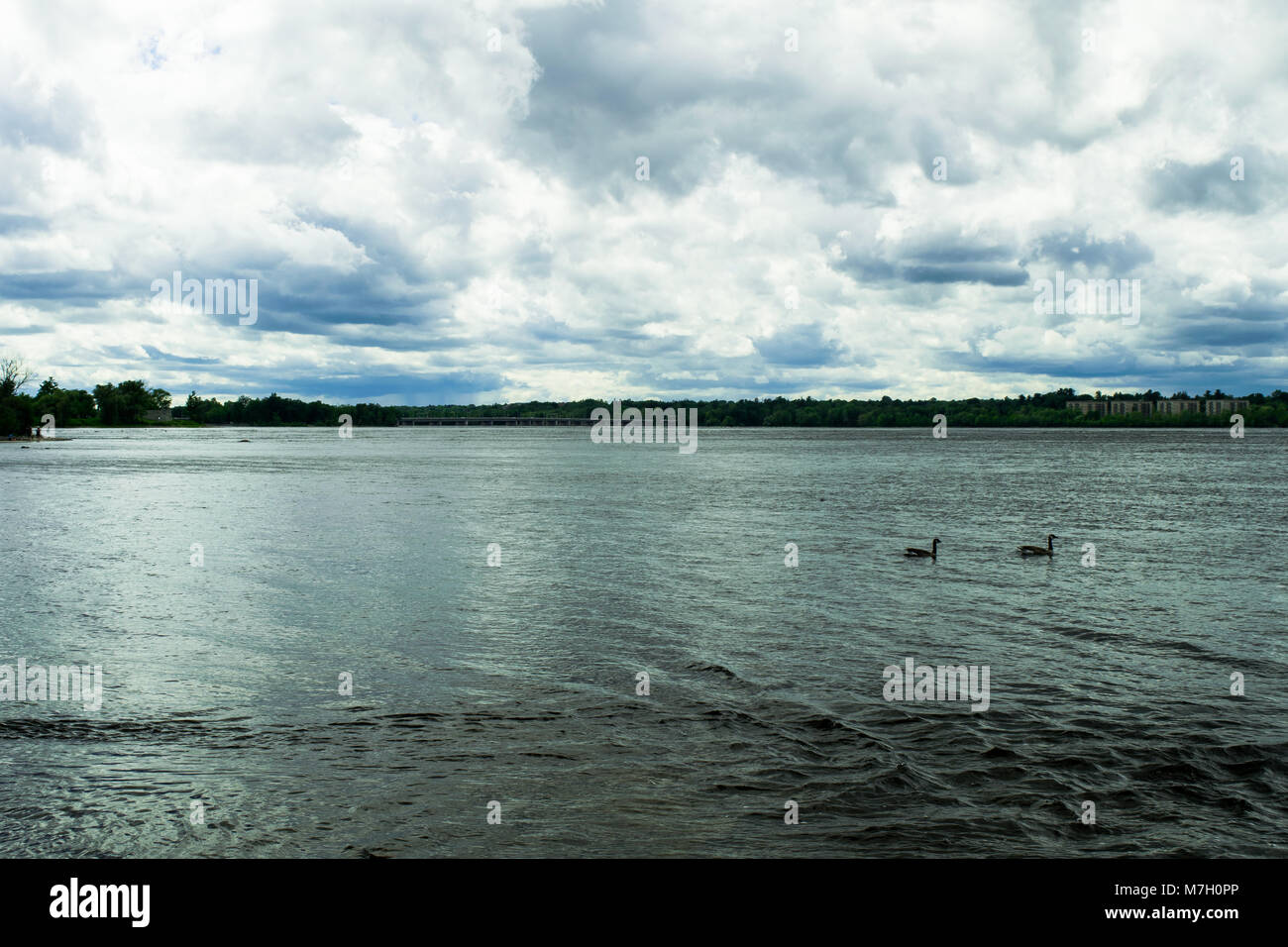 Landscape view of the Ottawa River from the Ontario side, Canada Stock ...