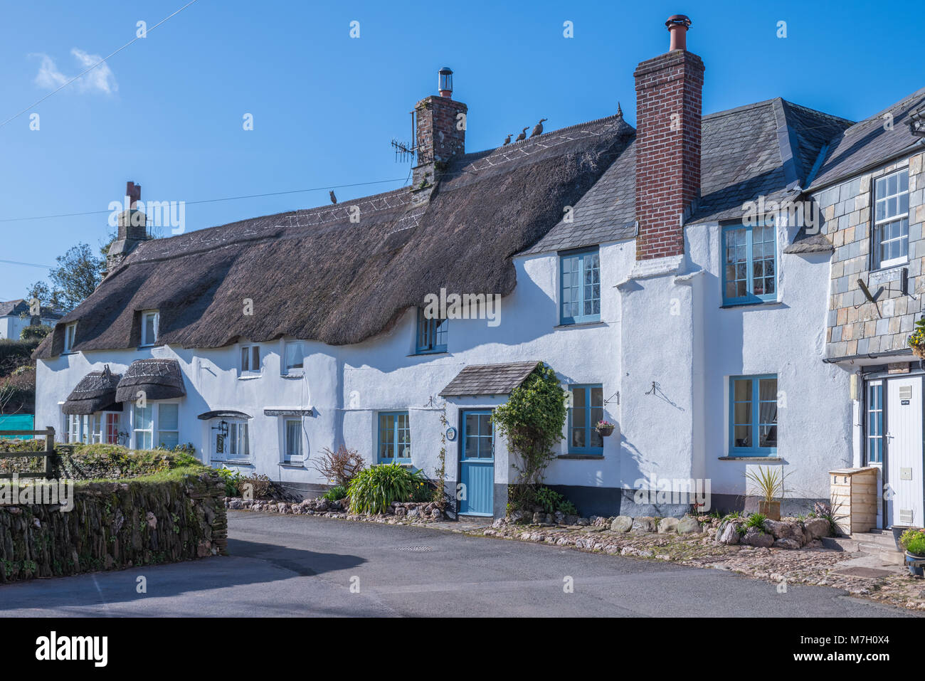 Stokenham hi-res stock photography and images - Alamy