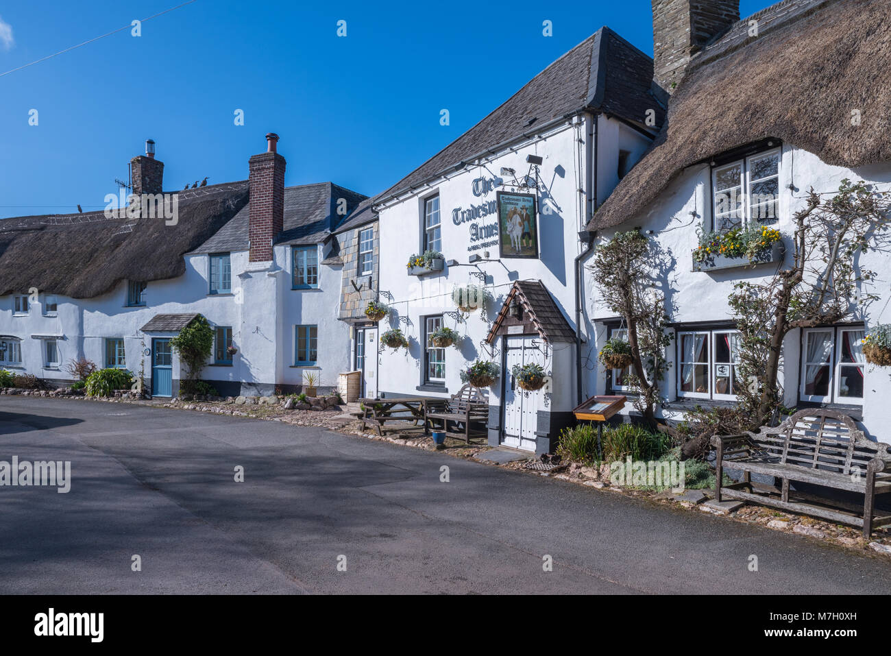 Stokenham High Resolution Stock Photography and Images - Alamy