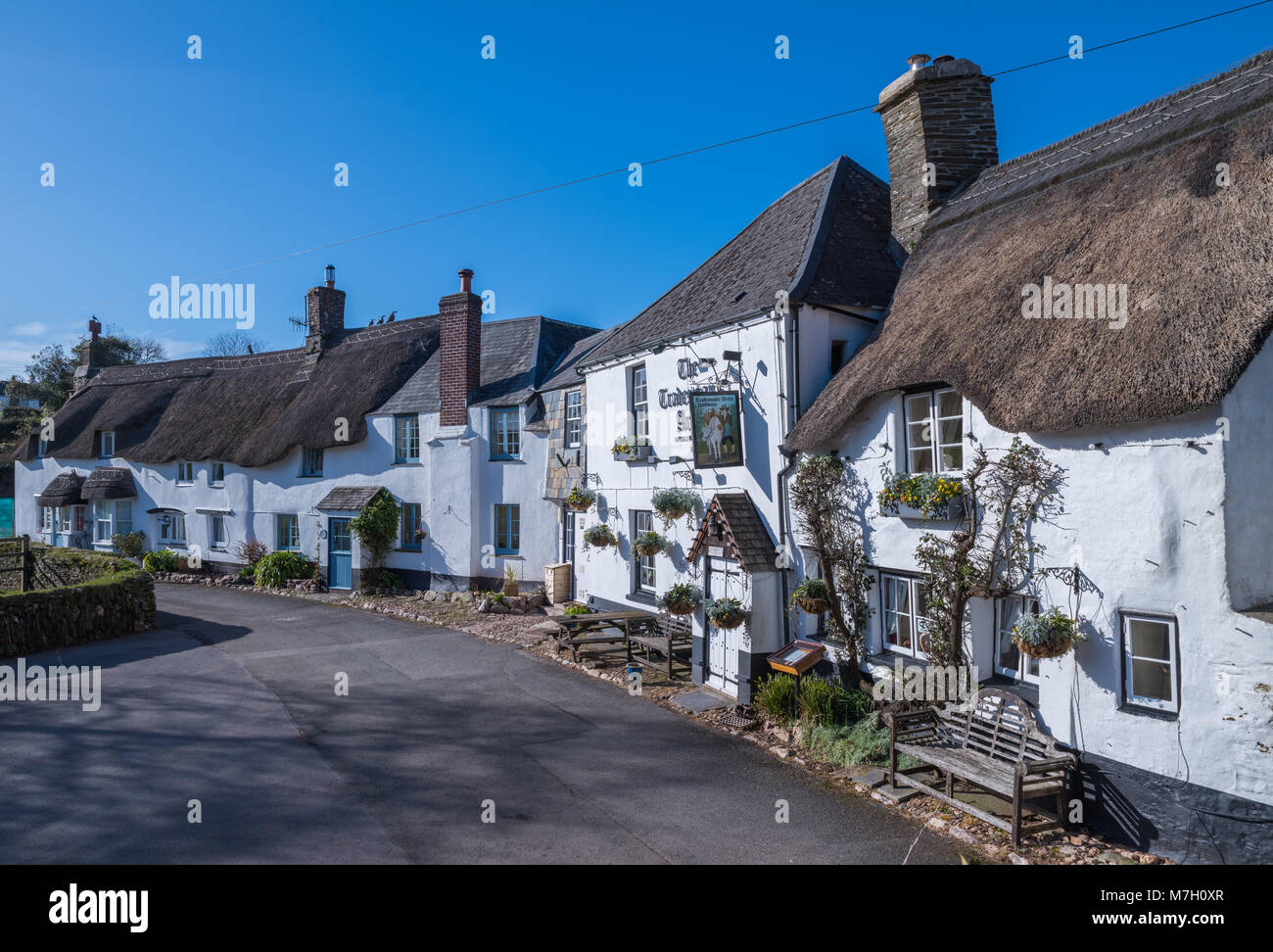 Stokenham hi-res stock photography and images - Alamy