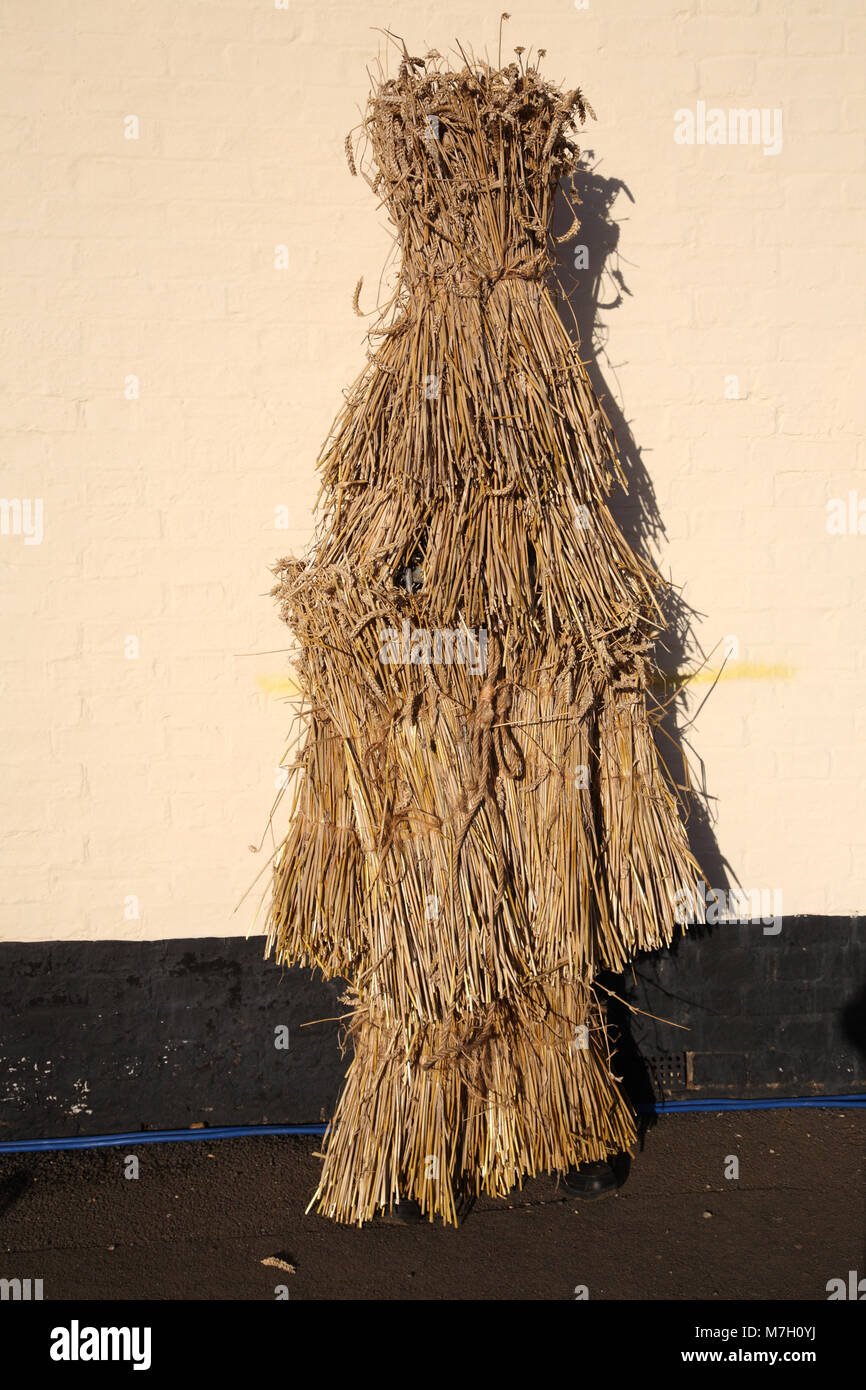 A straw bear takes a rest during the annual Whittlesey Straw Bear ...