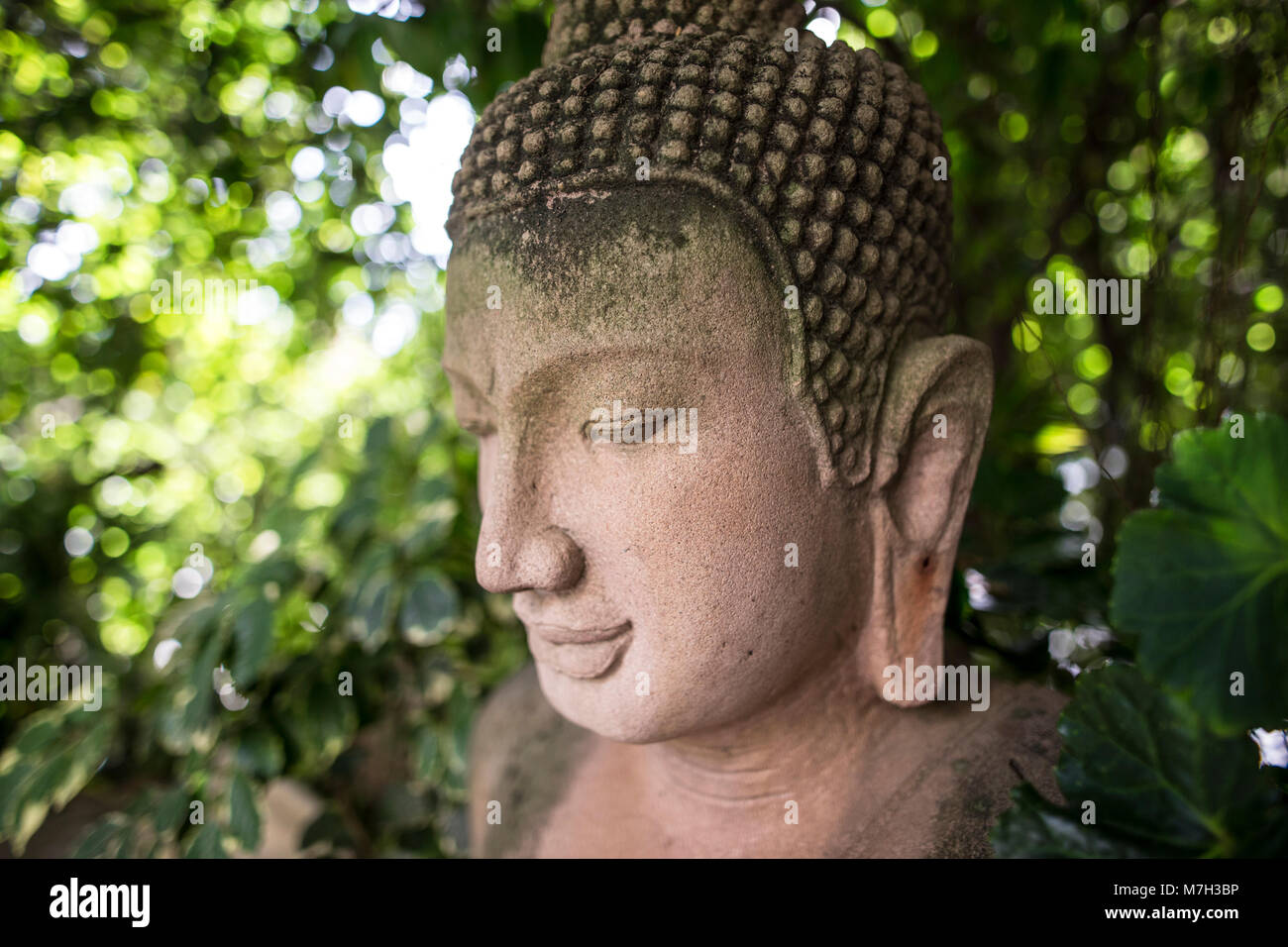 Buddha sculpture with back light from sun through leaves curtain ...