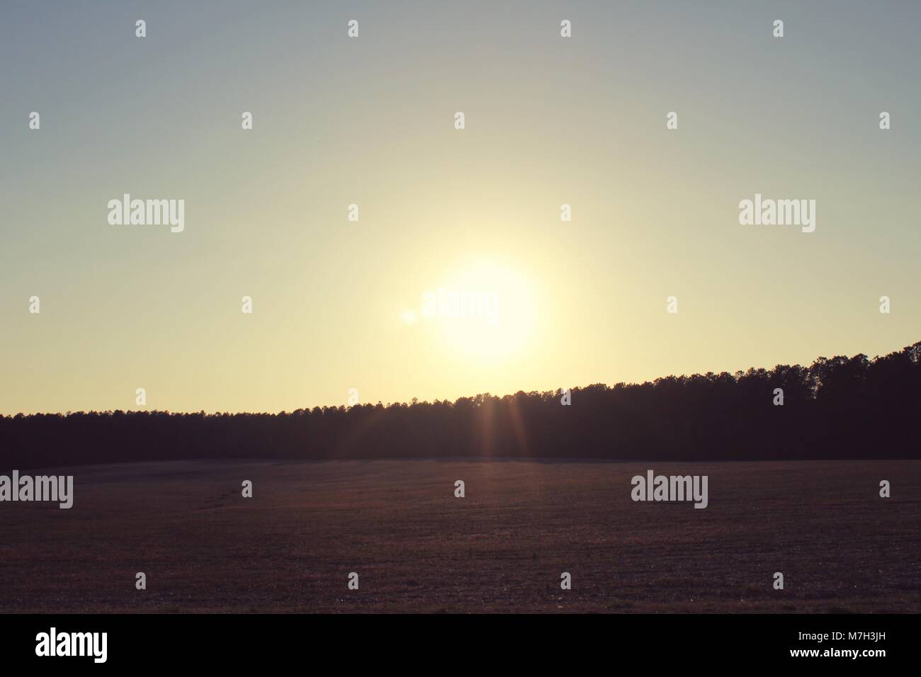 A farm field at sunset Stock Photo - Alamy