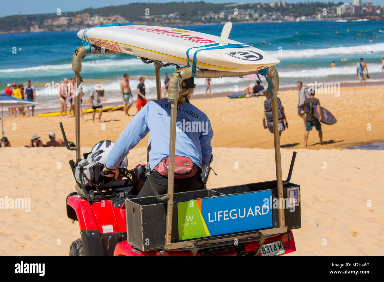 Surf rescue lifeguard in his surf beach buggy on North Curl Curl beach ...