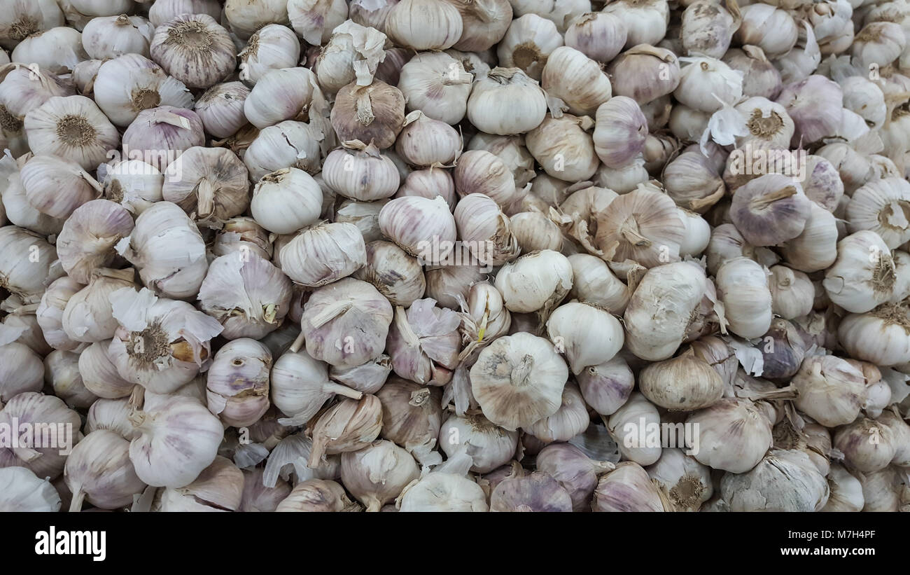 Stack of white garlic, display at wet market Stock Photo - Alamy