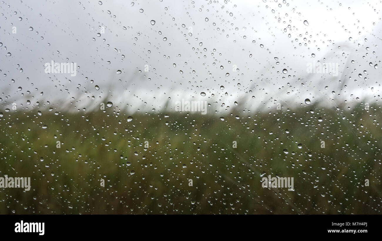 Rainy day, rain drops display on car window Stock Photo - Alamy