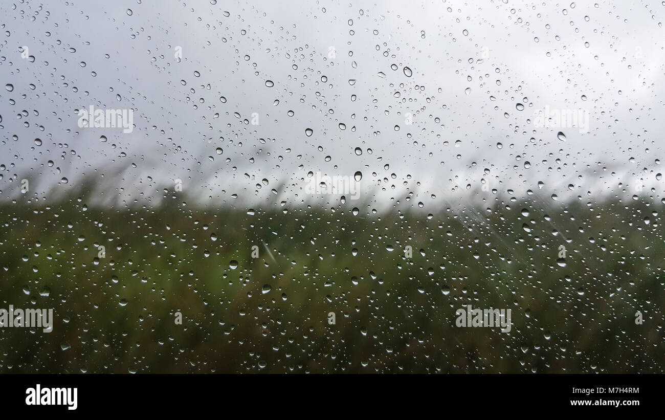 Rainy day, rain drops display on car window Stock Photo - Alamy