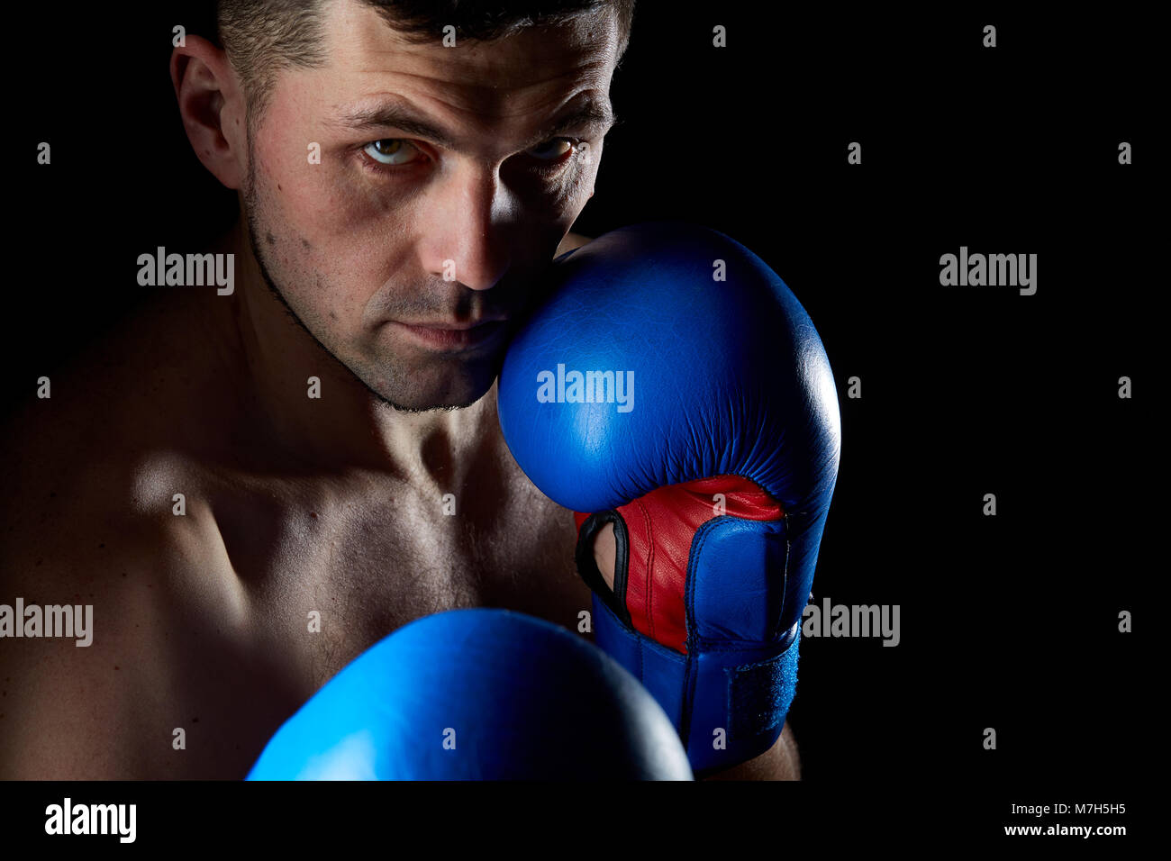 Close up low key portrait of a aggressive muscular fighter, getting ...