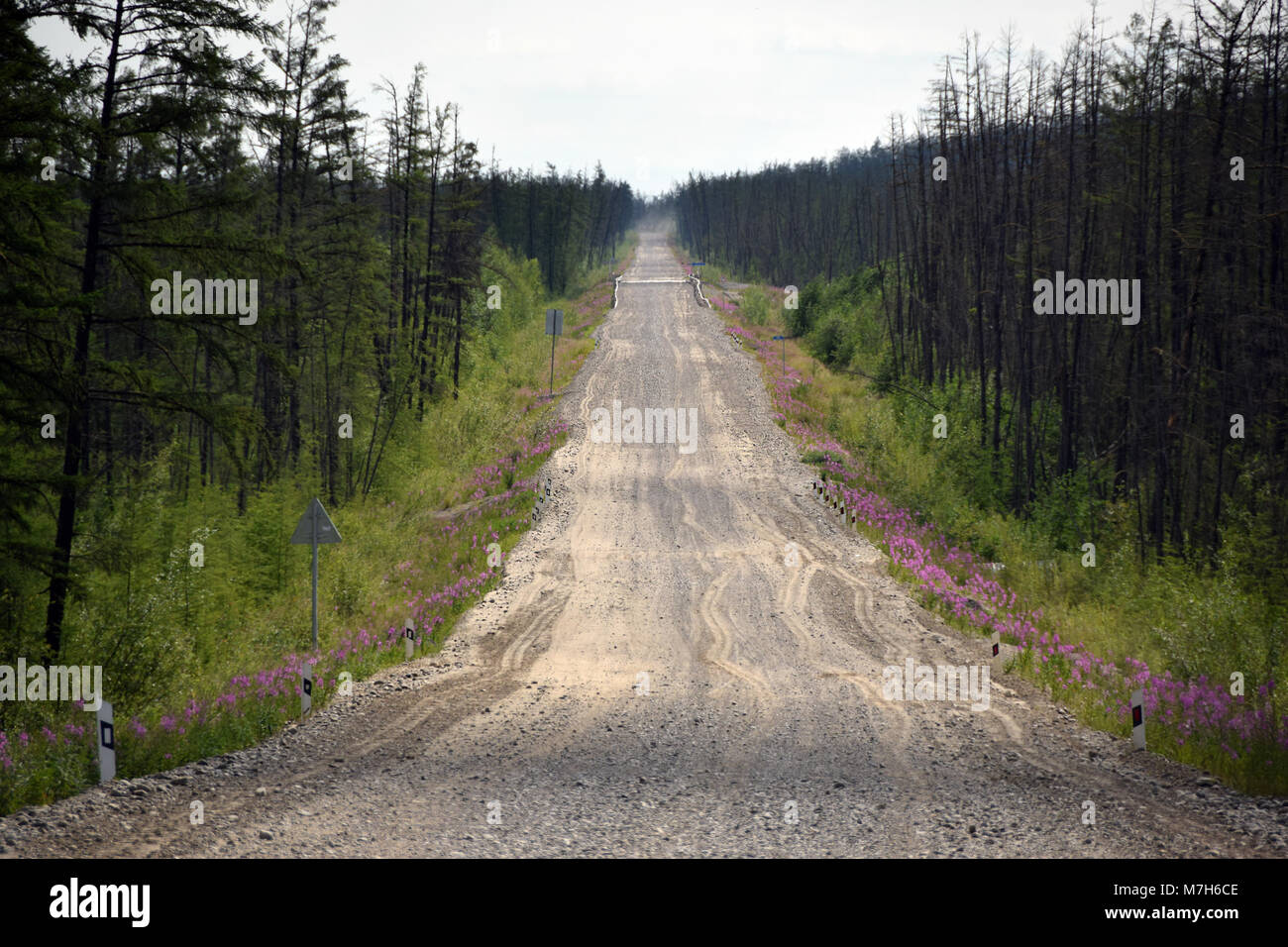 Kolyma highway russia hi-res stock photography and images - Alamy