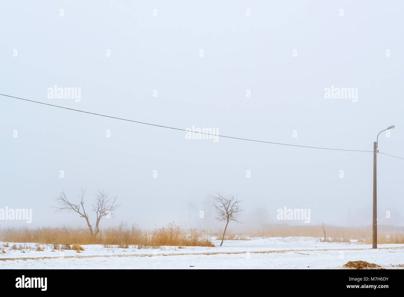 Thick fog early cloudy winter morning. Snowy landscape in the season of ...