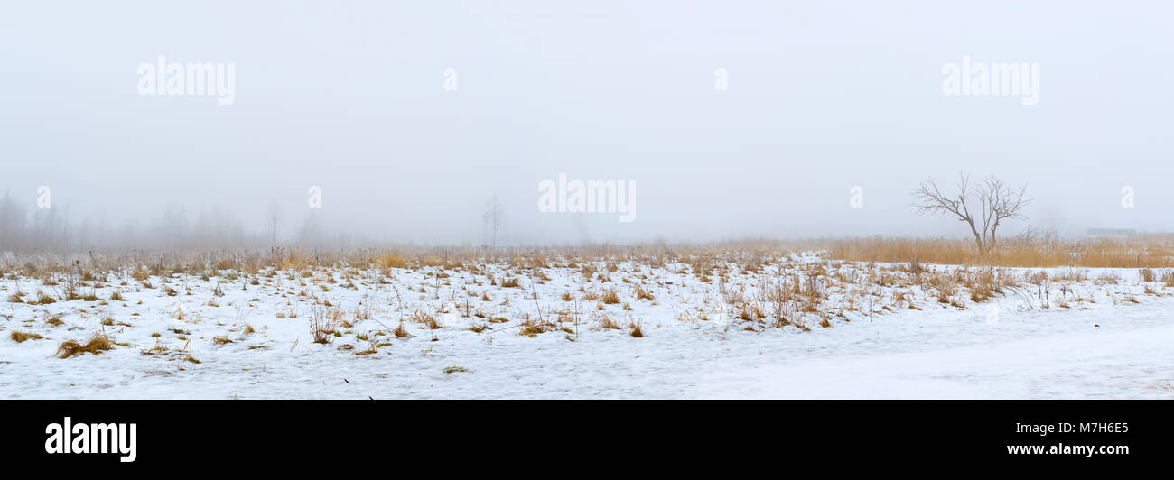 Thick fog early cloudy winter morning. Snowy landscape in the season of ...