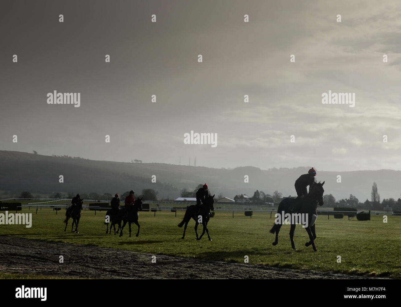 The string of horses hi-res stock photography and images - Alamy