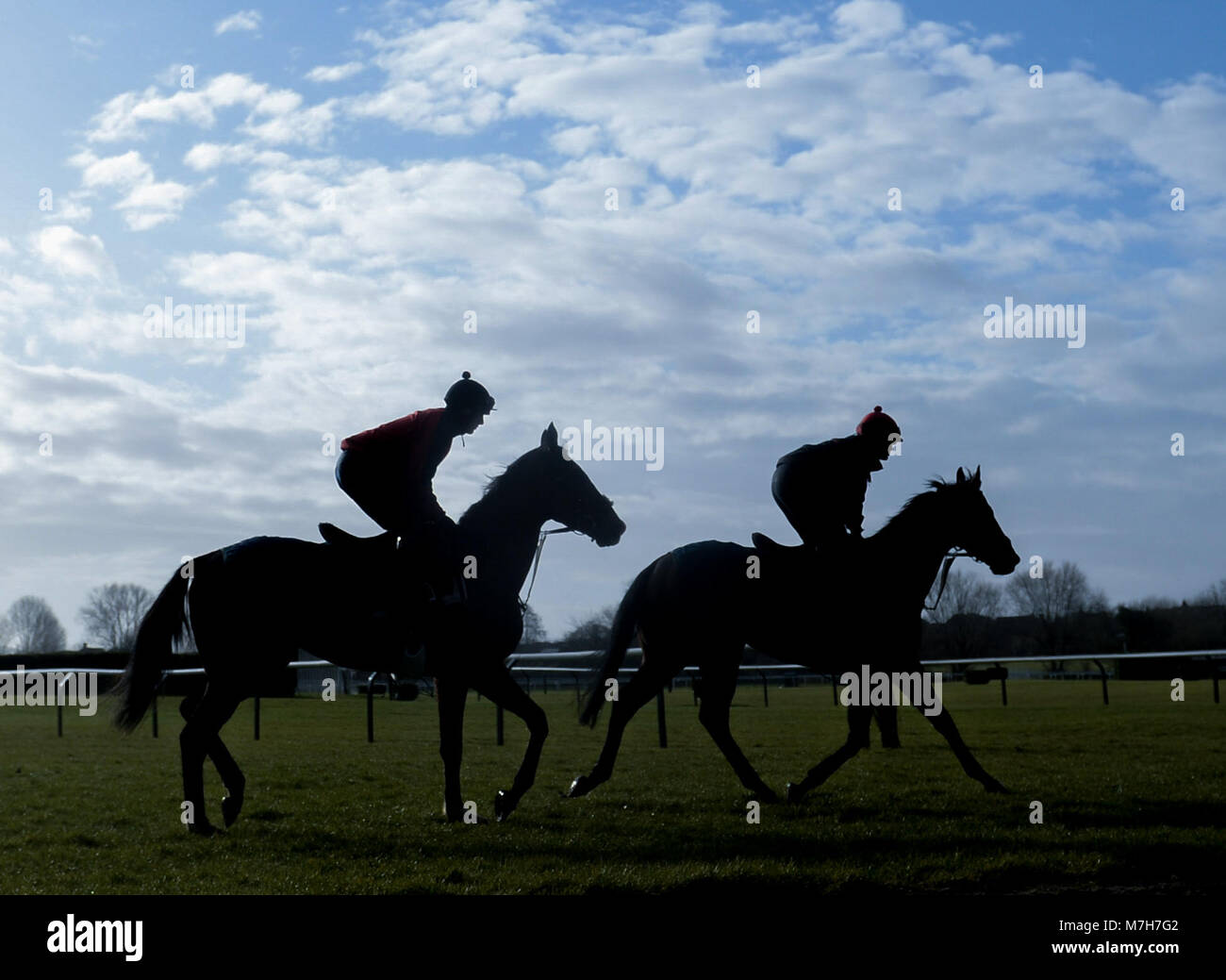 The string of horses hi-res stock photography and images - Alamy