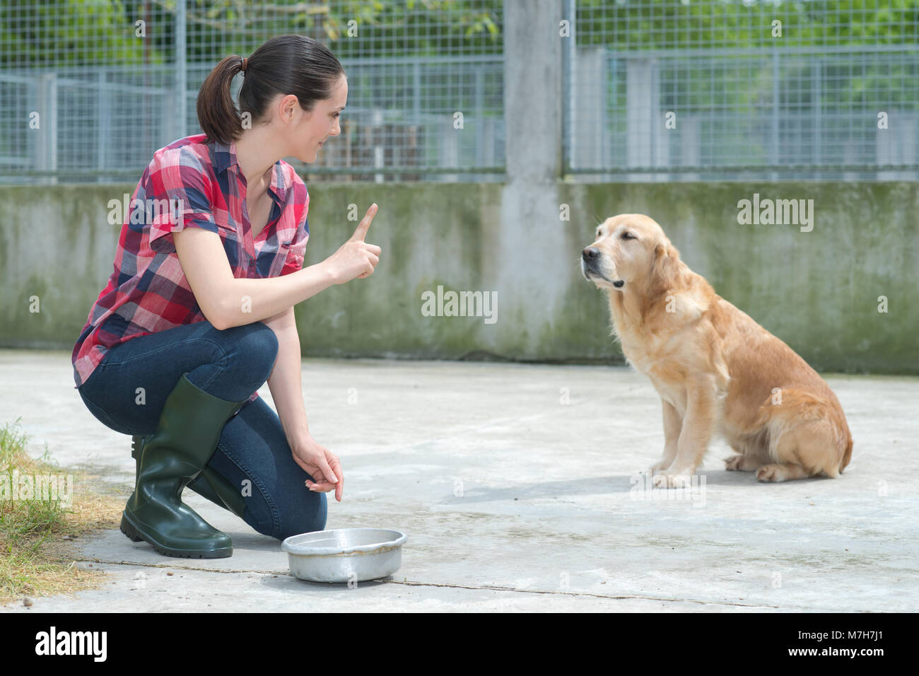 dedicated girl training dog in kennel Stock Photo - Alamy