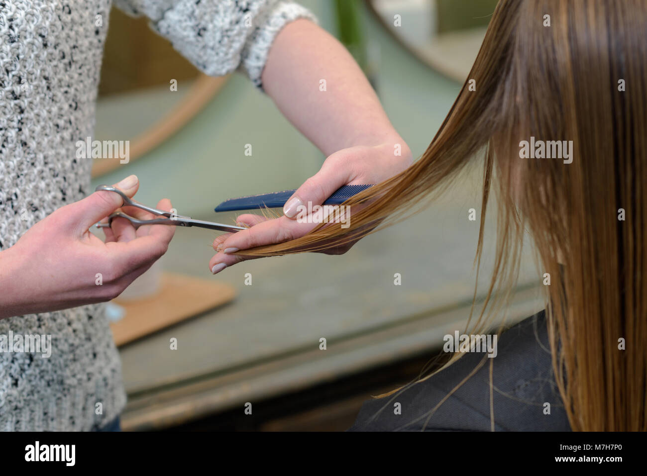 cutting hair in a beauty salon Stock Photo - Alamy