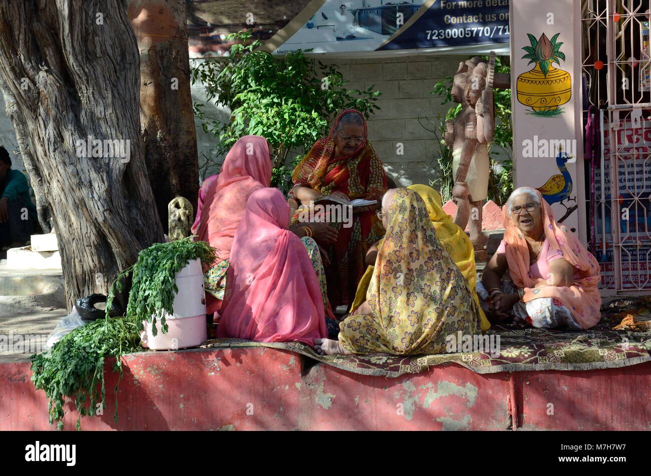 A group of senior Indian women wearing colourful saris sitting under a ...