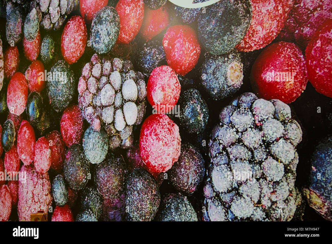 Green orange red abstract hi-res stock photography and images - Alamy