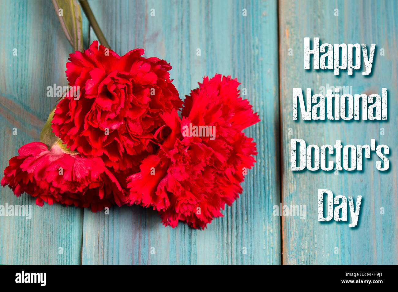 National Day of the Doctor of the USA. Carnation on a blue background ...