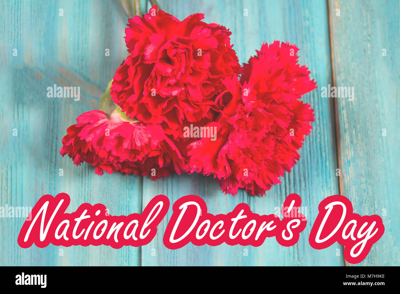 National Day of the Doctor of the USA. Carnation on a blue background ...