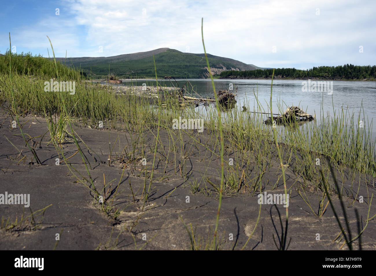 The Kolyma river bank in the town of Debin in summer season Stock Photo ...