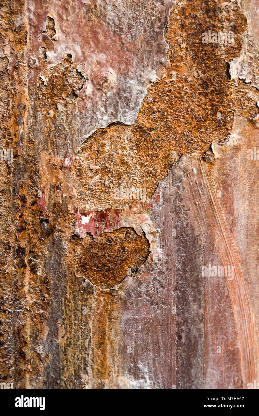 Abstract corroded colorful rusty container metal background Stock Photo ...