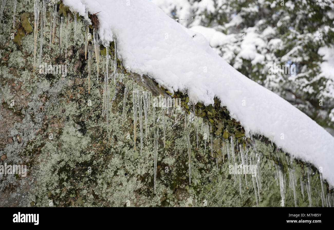 Icicles snow on tree hi-res stock photography and images - Alamy