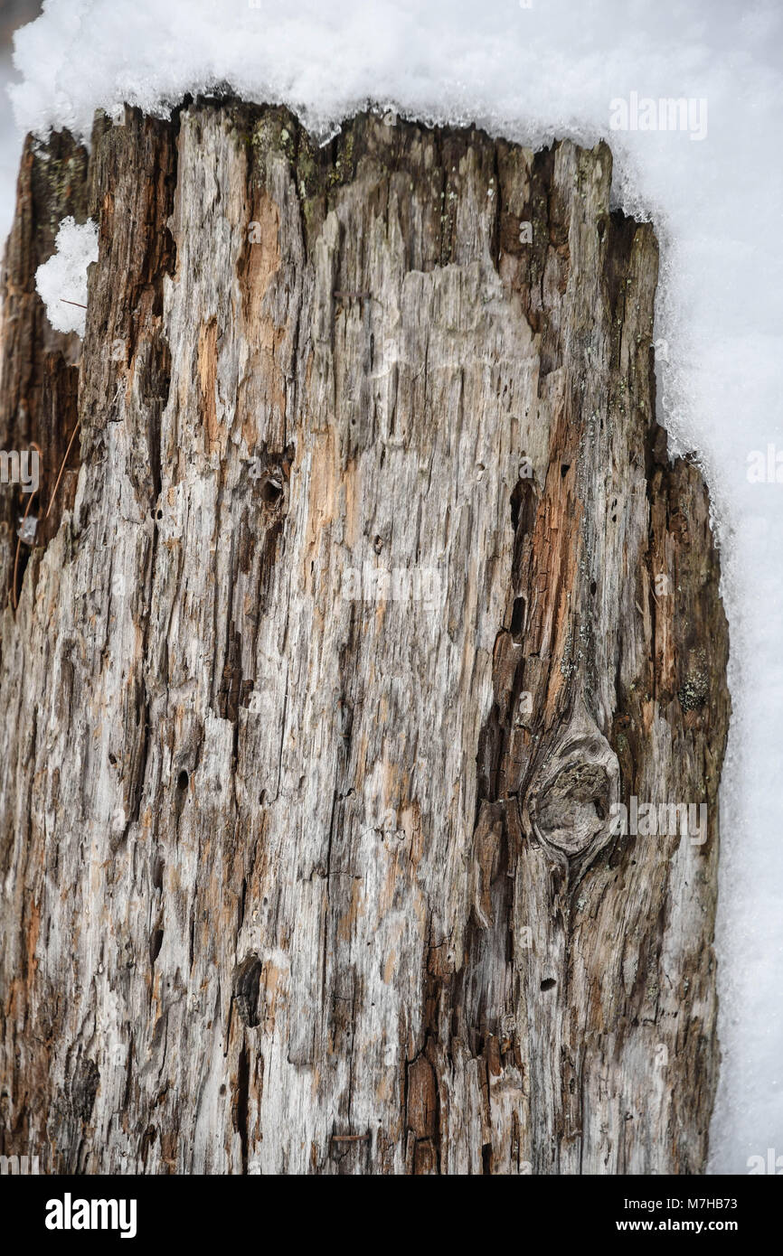 Old wood texture with snow hi-res stock photography and images - Alamy