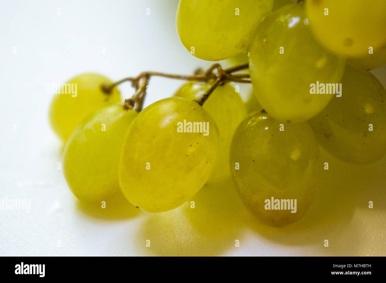 Large grapes cluster amber color on white background Stock Photo - Alamy