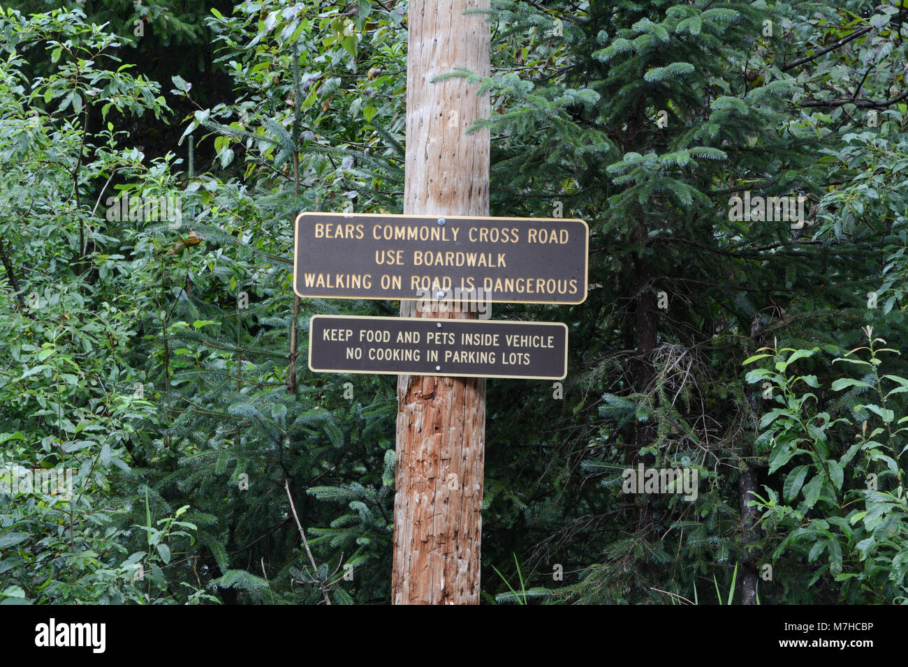 A bear warning sign at the Fish Creek Wildlife Observation Site, a ...
