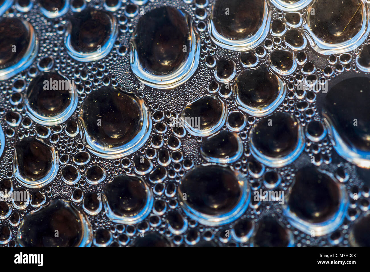 Circular drops of water condensation on the inside of a mini-greenhouse ...