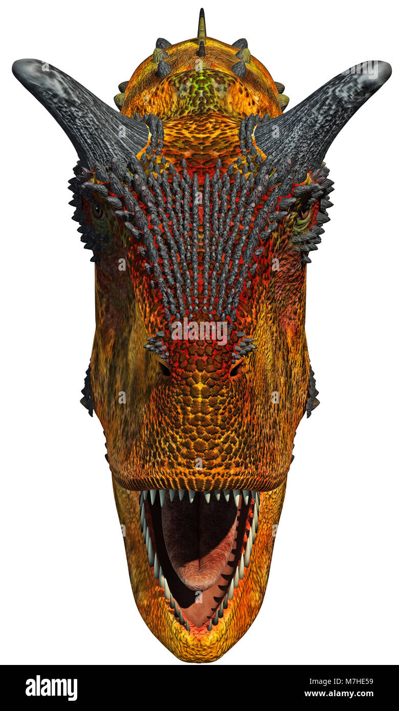 Carnotaurus skin hi-res stock photography and images - Alamy