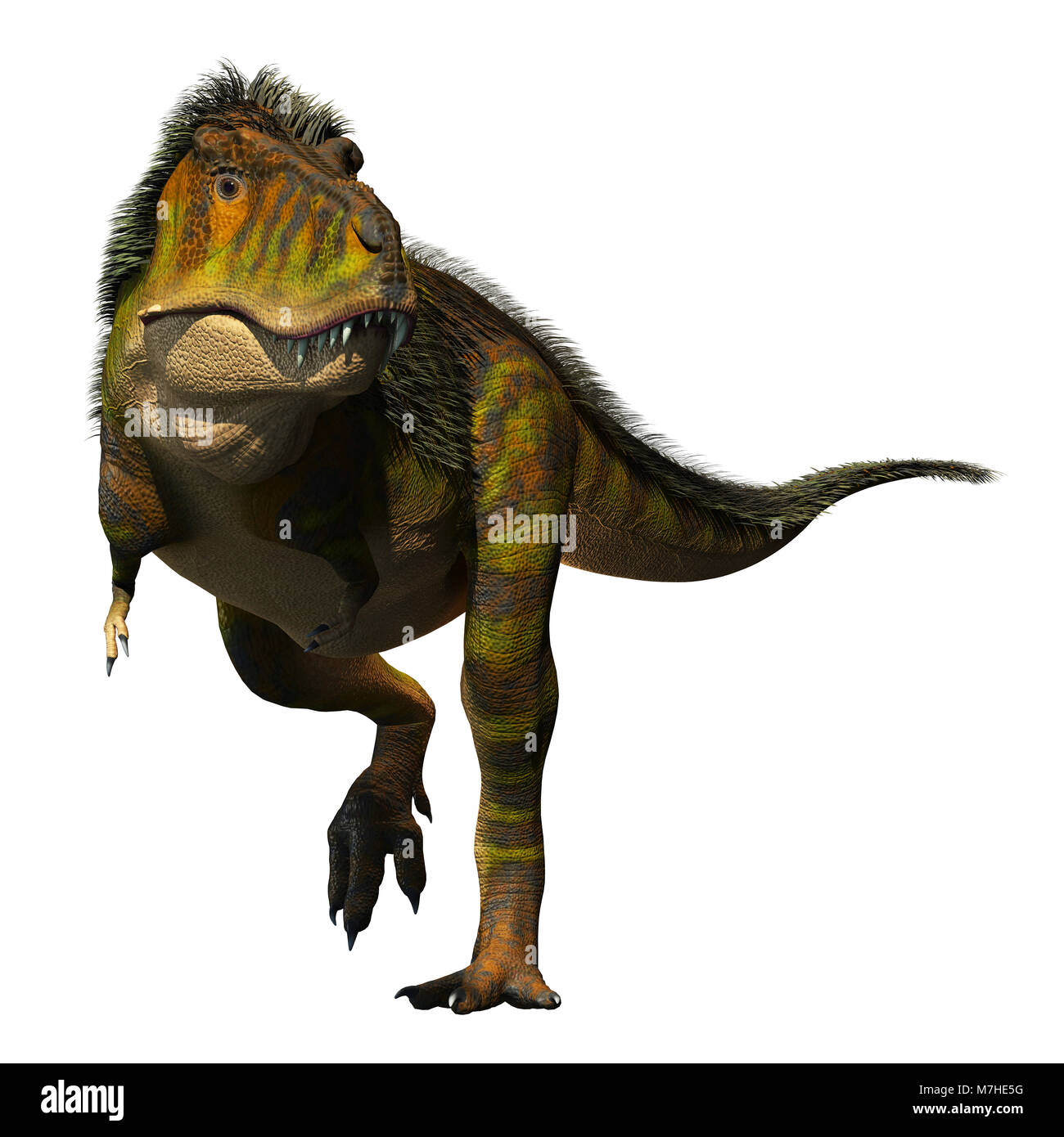 Tyrannosaurus rex carnivore extinct Cut Out Stock Images & Pictures - Alamy