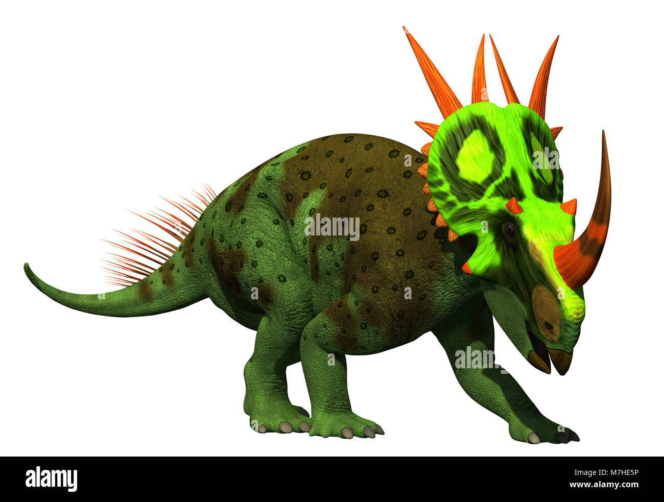 Rubeosaurus dinosaur on white background Stock Photo - Alamy