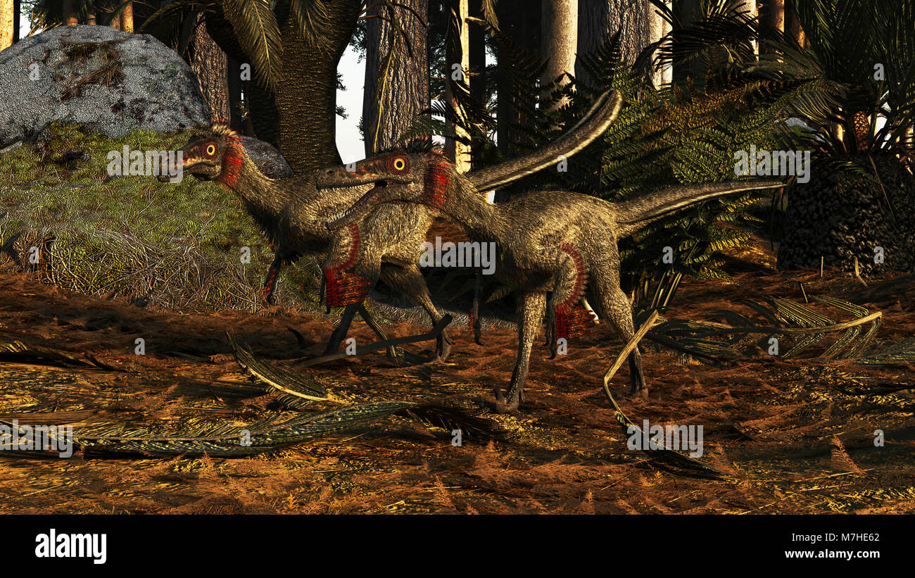 Buitreraptor