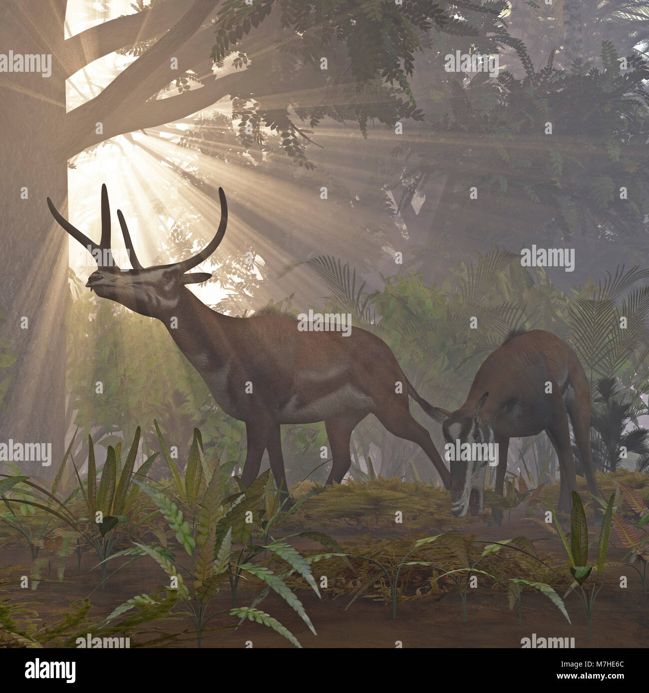 Mammals of the miocene era, artwork hi-res stock photography and images ...