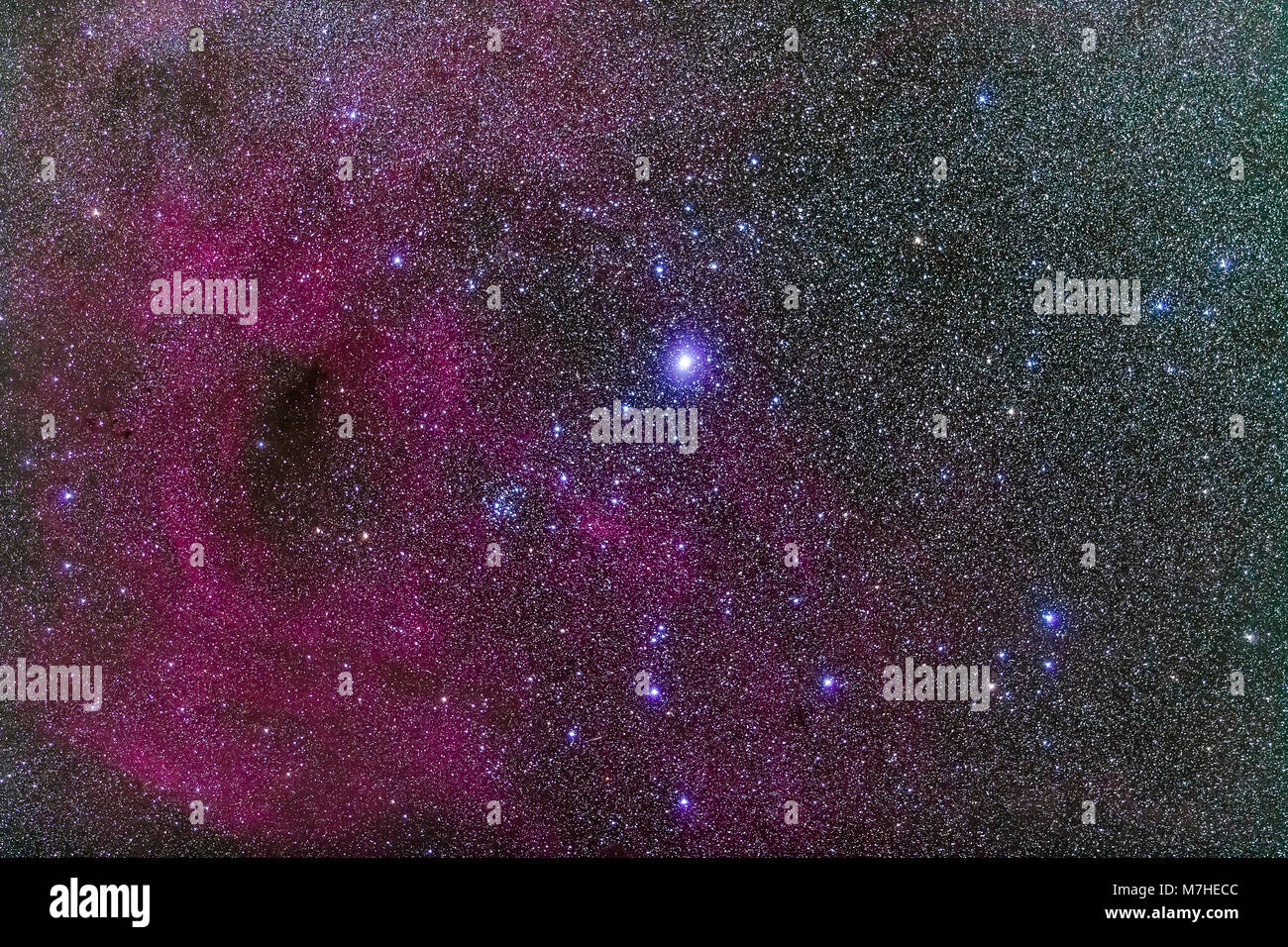Gamma Velorum in Vela and the open cluster NGC 2547 Stock Photo - Alamy