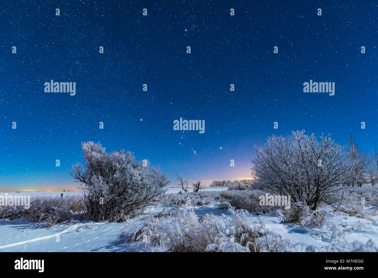 Orion and Taurus rising in the moonlight over a snowy landscape in ...