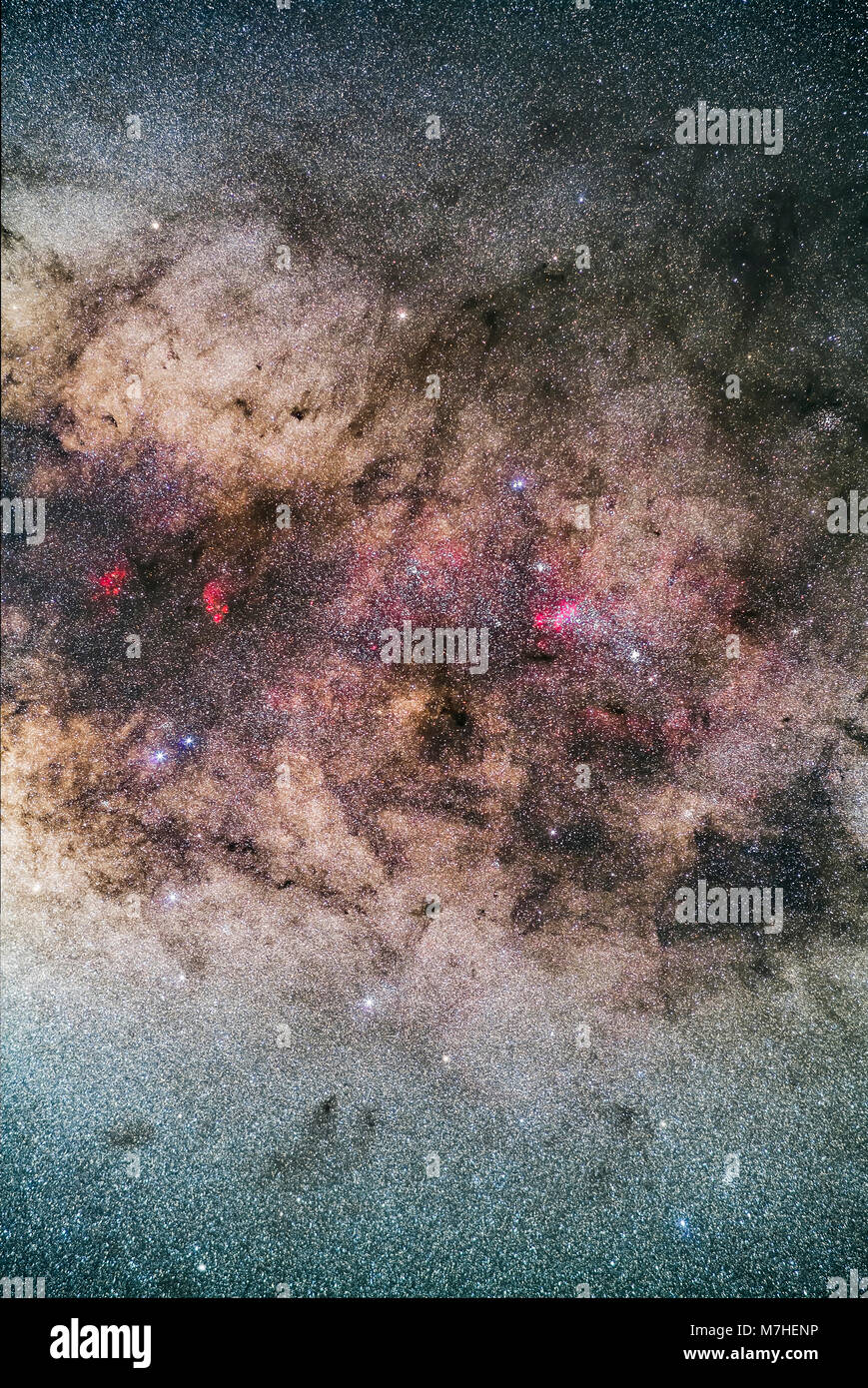 The tail of Scorpius in the Milky Way Stock Photo - Alamy