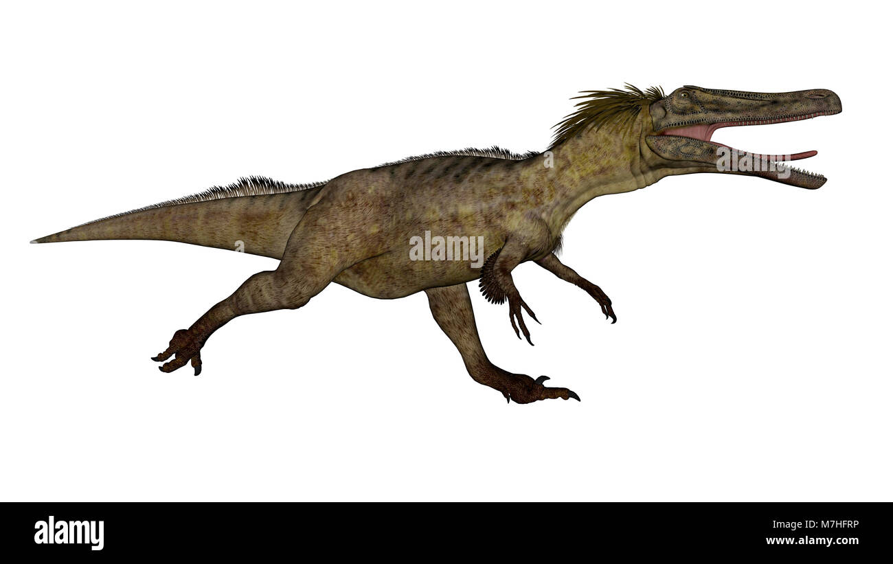 Austroraptor dinosaur running, isolated on white background Stock Photo ...