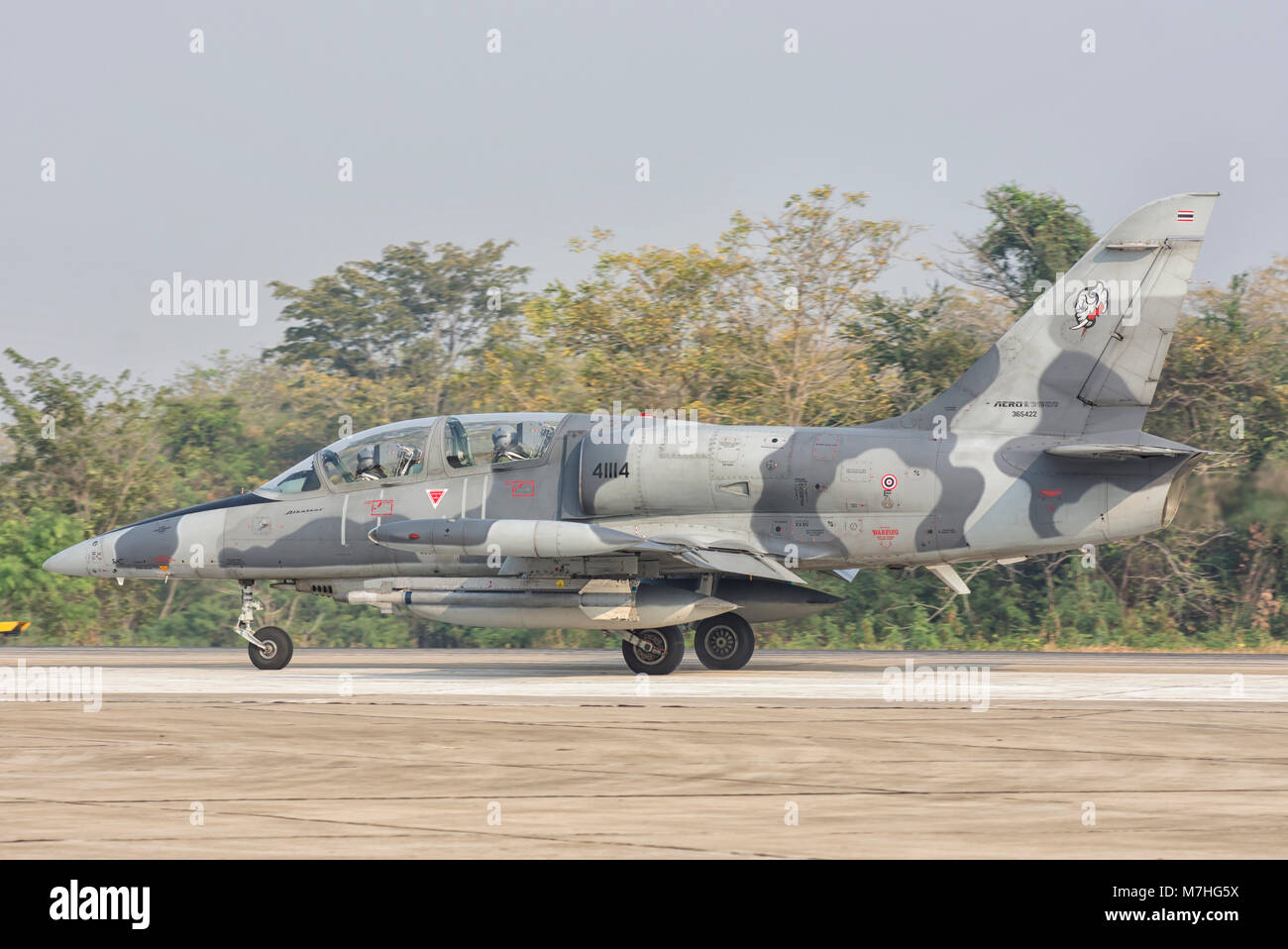 Royal Thai Air Force L-39 Albatros during Exercise Cope Tiger 2016 ...