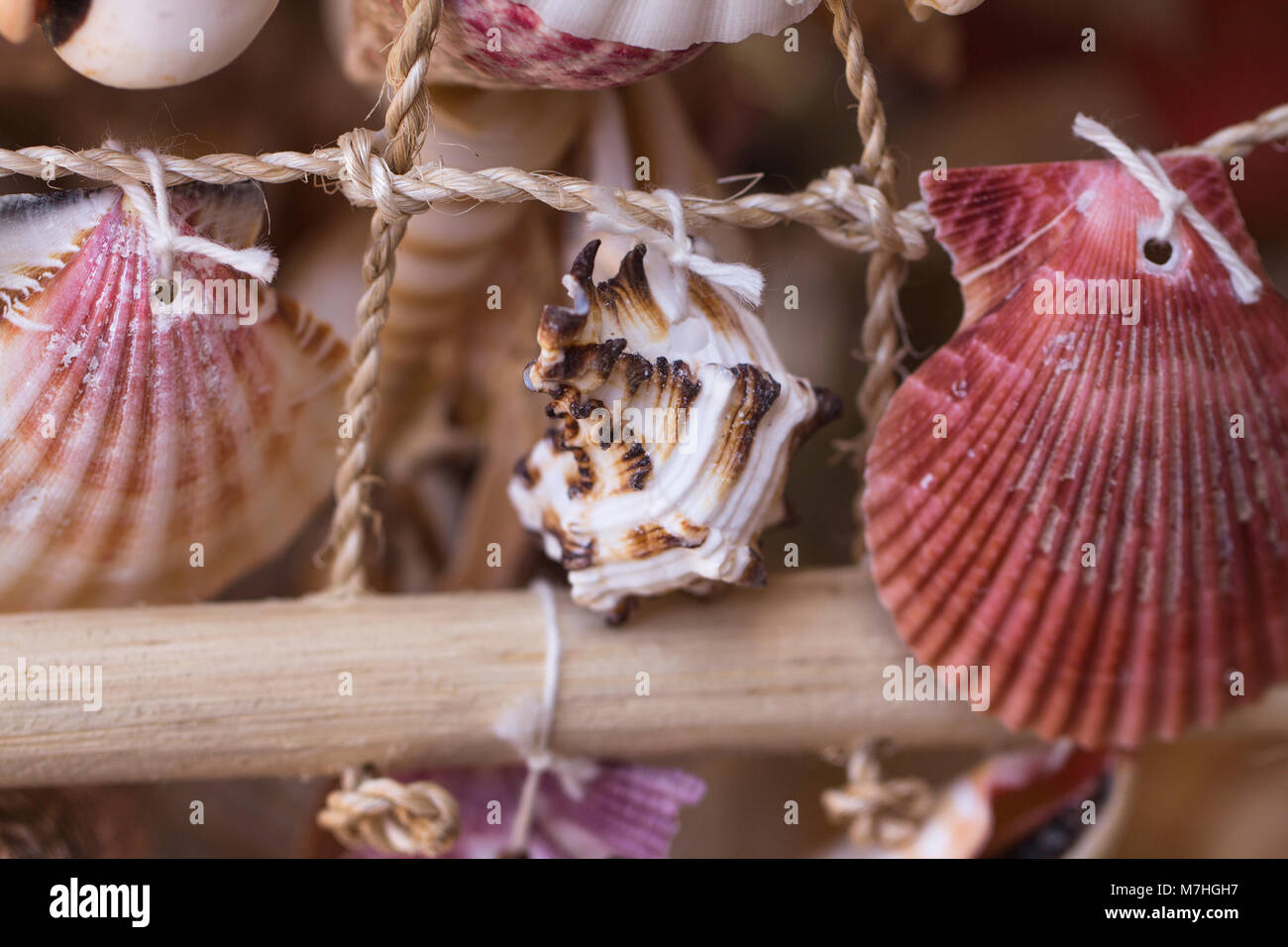 Portuguese souvenirs in the form of sea shells sold in Albufeira Stock ...
