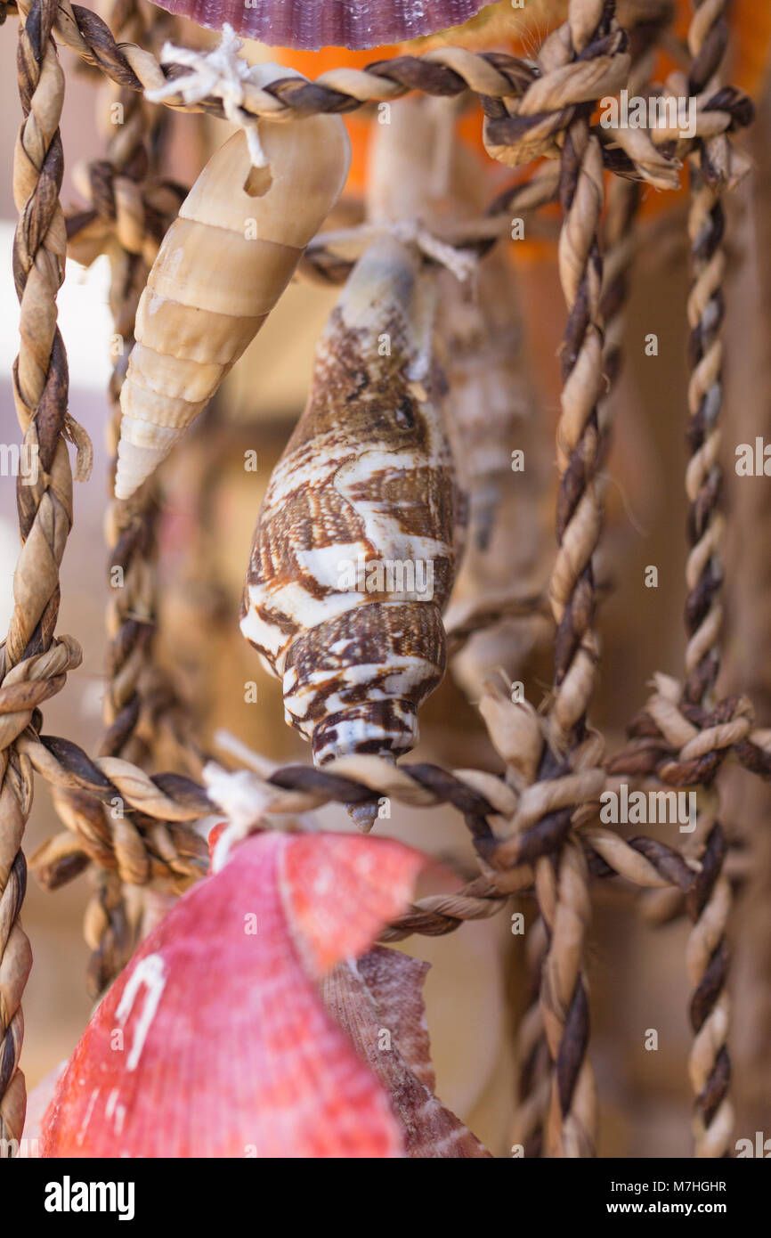 Portuguese souvenirs in the form of sea shells sold in Albufeira Stock ...