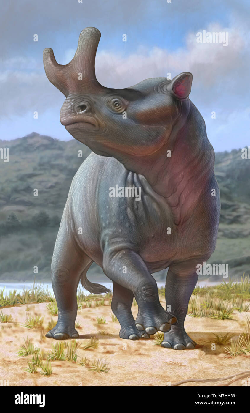 Megacerops