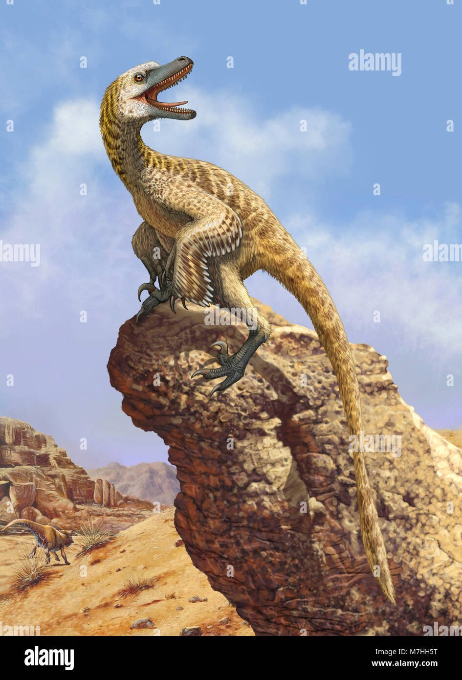 Velociraptor mongoliensis hi-res stock photography and images - Alamy