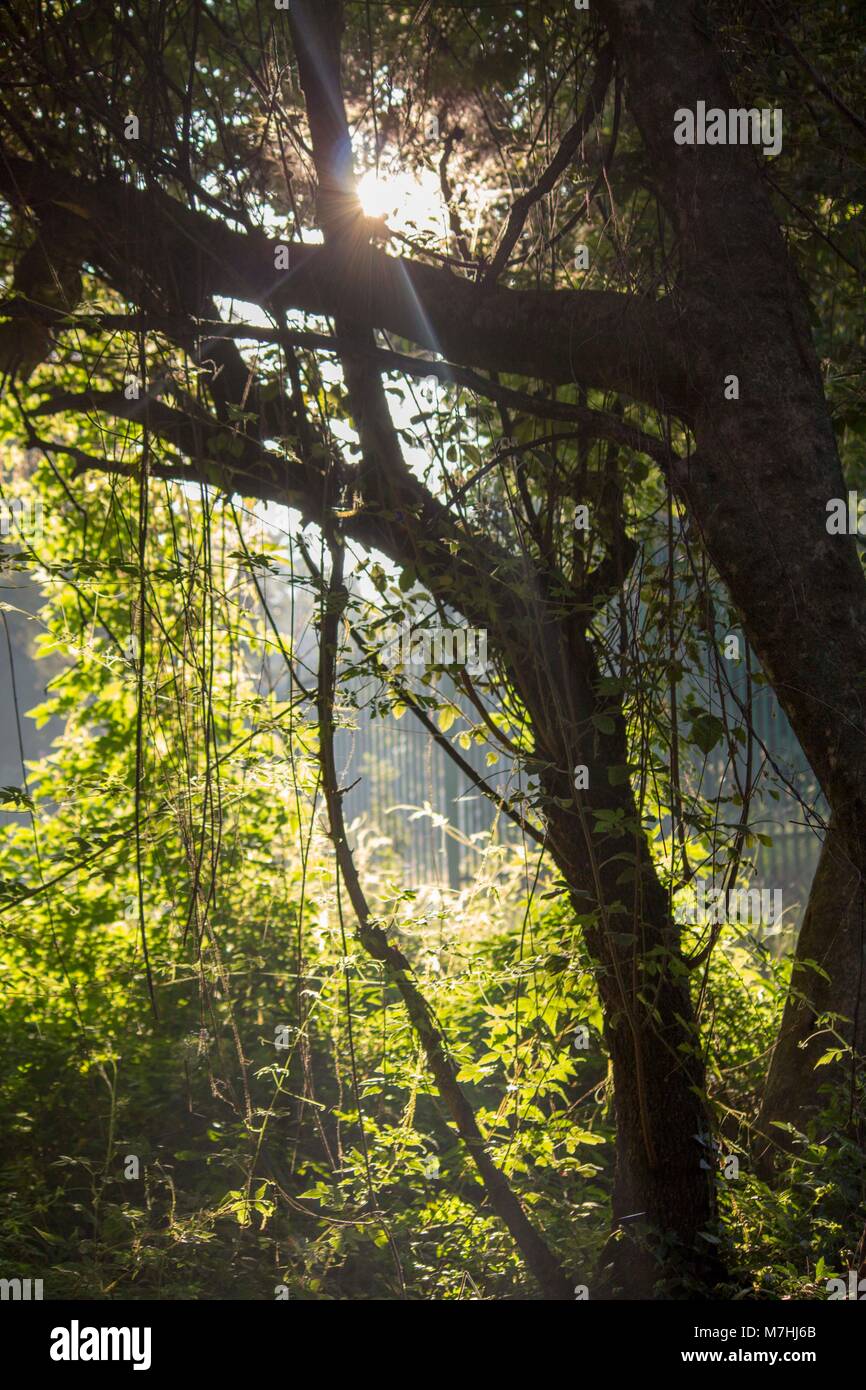 Struben dam hi-res stock photography and images - Alamy