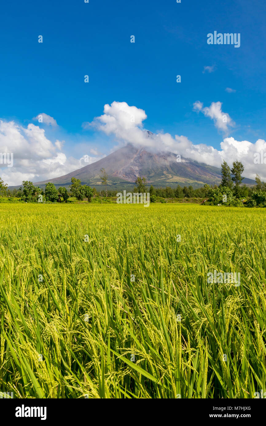 Mount Mayon Albay Philippines March 07, 2018 The Mayon Volcano, during ...
