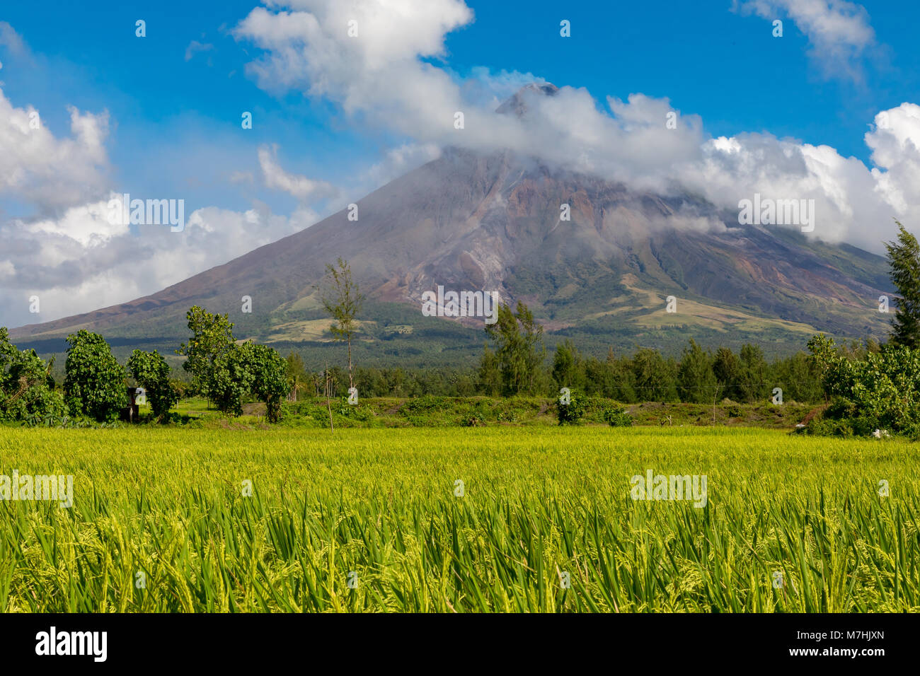 Mount Mayon Albay Philippines March 07, 2018 The Mayon Volcano, during ...